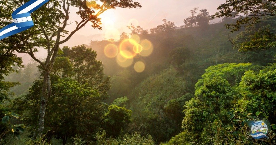 Áreas protegidas de Honduras (Informe) - EspacioHonduras