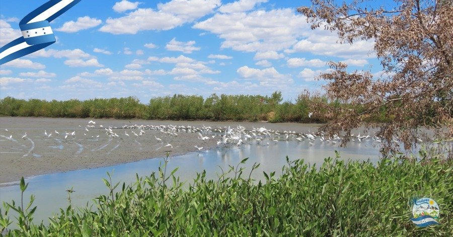 La biodiversidad de Honduras: parques nacionales que debes visitar ...