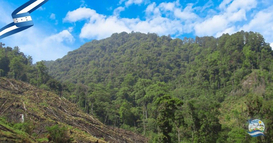 Parque Nacional Montaña de Botaderos - EspacioHonduras