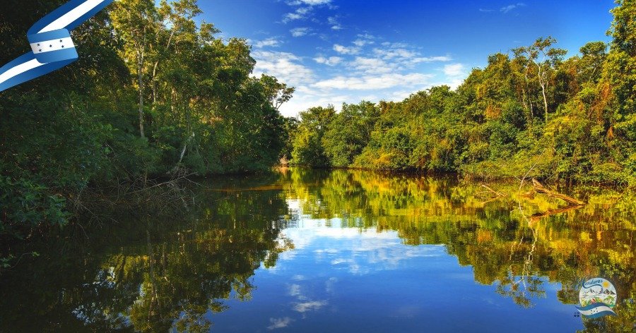La biodiversidad de Honduras: parques nacionales que debes visitar ...