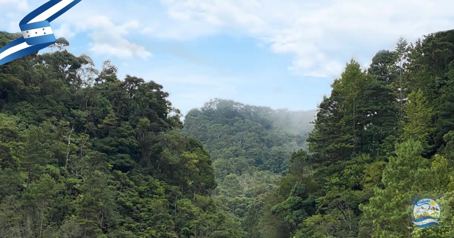Cascada Río Grande, un increíble tesoro en Intibucá - EspacioHonduras