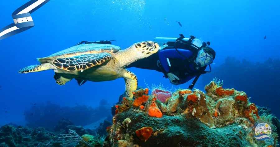 El Parque Nacional Cerro Azul Copan (PANACAC) - EspacioHonduras
