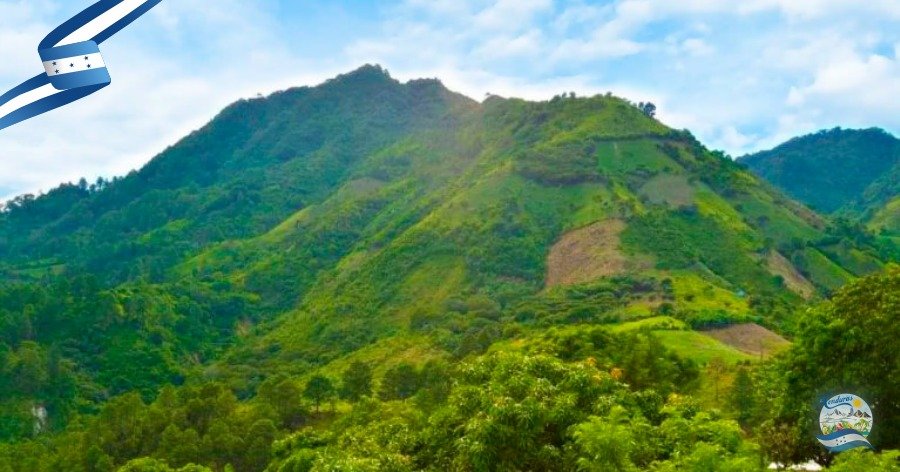 Reserva Biológica Monserrat - EspacioHonduras