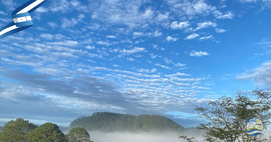 Reserva Biológica Mogola - EspacioHonduras