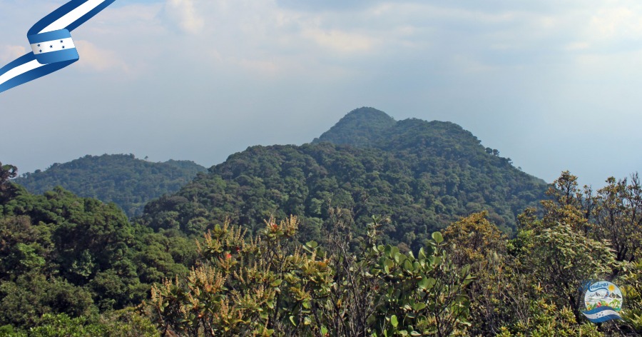 Biosfera Cacique Lempira Señor de Las Montañas - EspacioHonduras